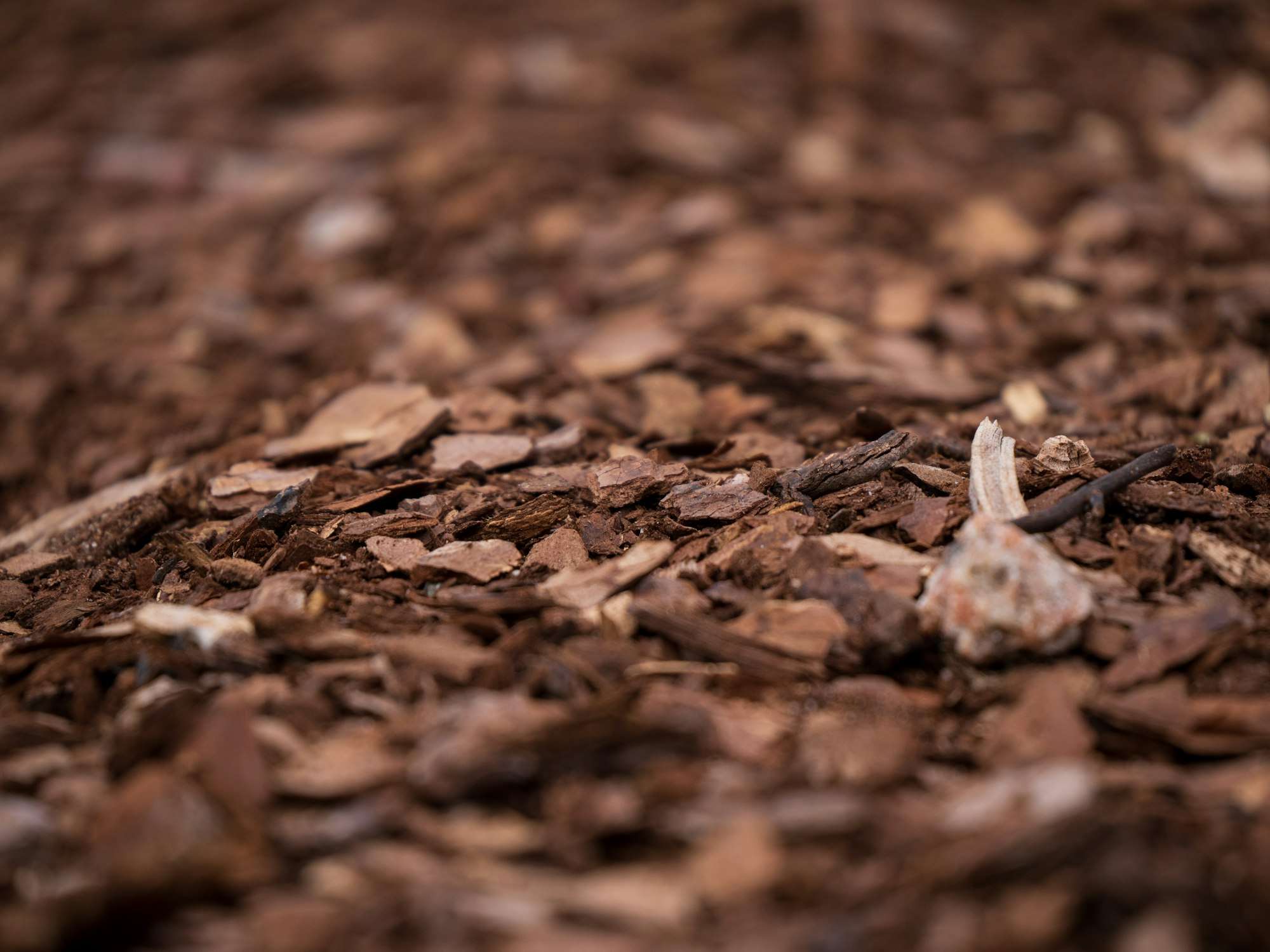 there is a closeup photo of a leaf mulch | Millburn Lawn & Landscape