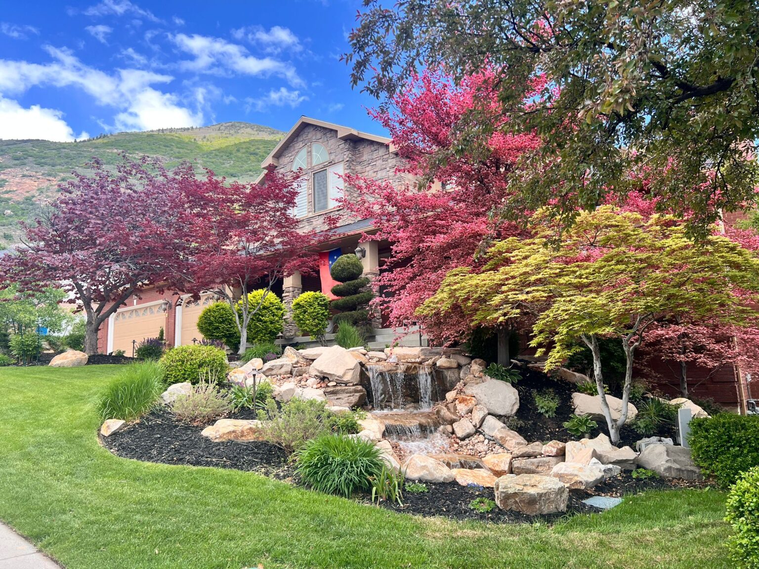 How to Shade a South-Facing Backyard in Salt Lake City Without Blocking ...